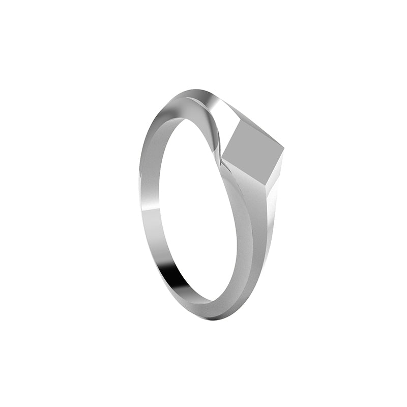 TERRA SIGNET RING – SILVERSHOP